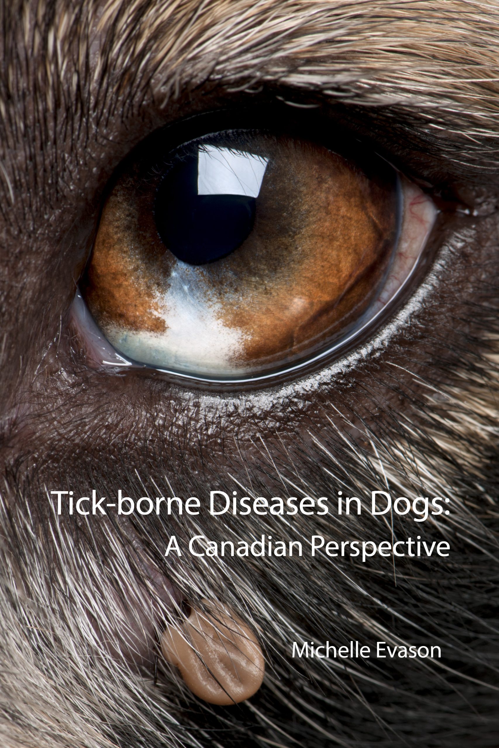 Tick-borne Diseases in Dogs | Island Studies Press